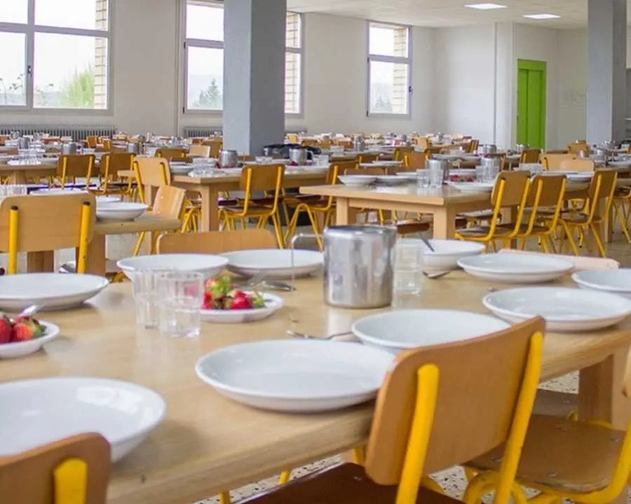 La Plataforma Comedor Universal reclama que la gestión de becas vuelva ...